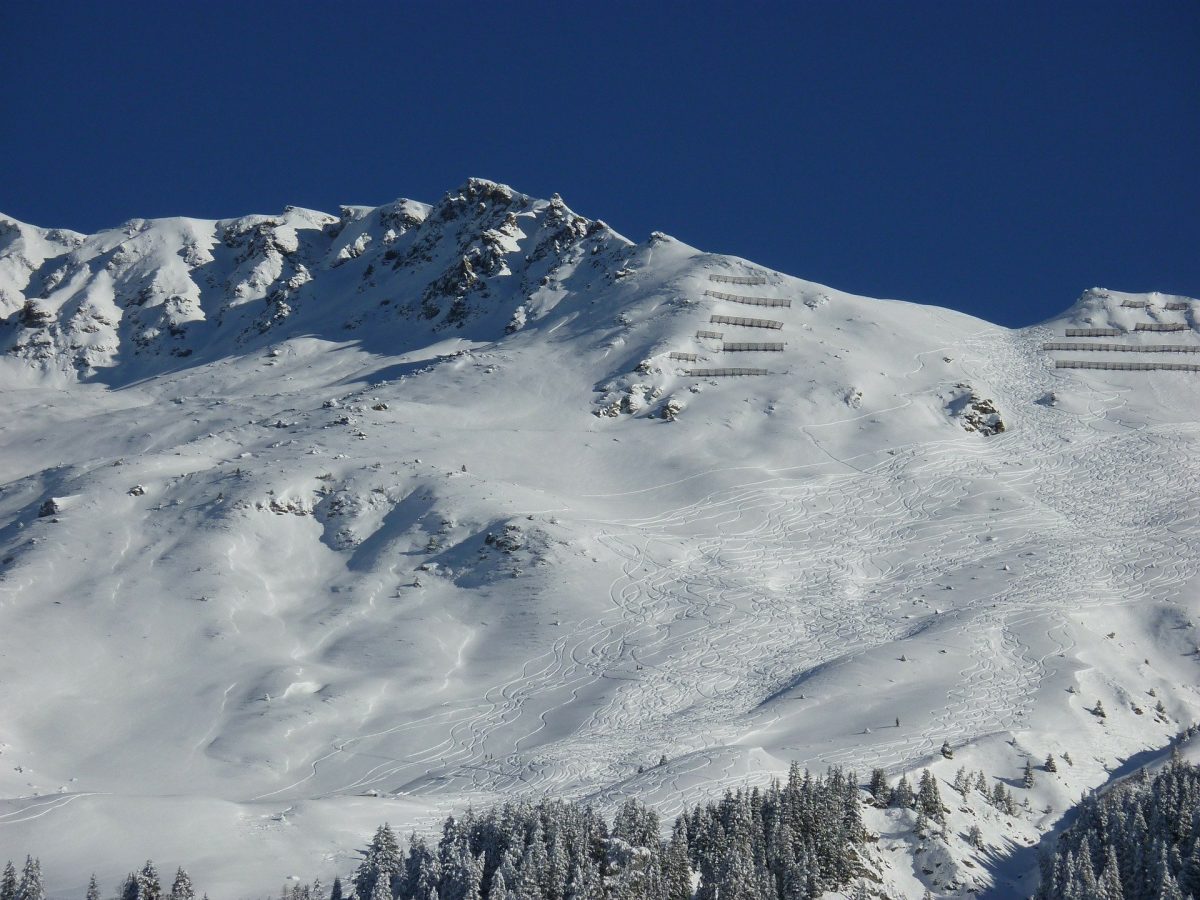 Pericolo VALANGHE (5 gradi) » SentieriMontagna.it